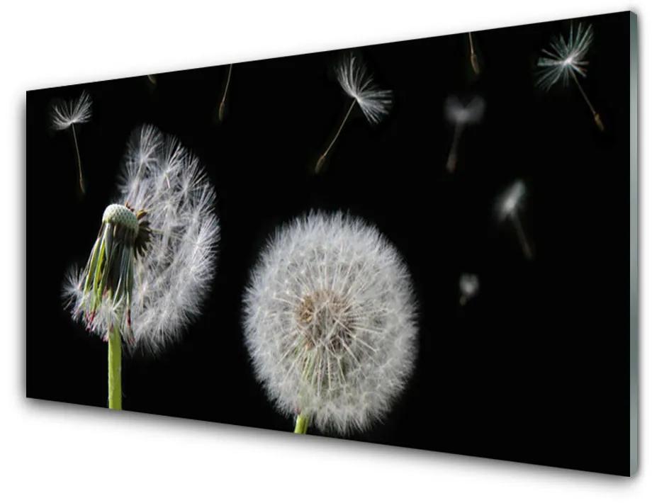 akrylový obraz Pampeliška 140x70 cm