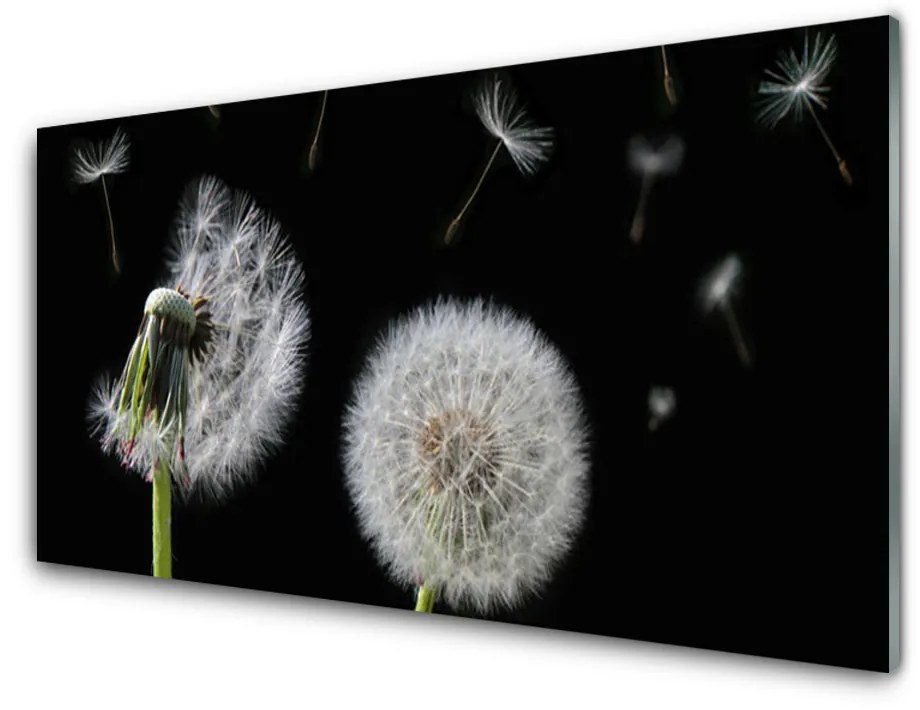akrylový obraz Pampeliška 125x50 cm