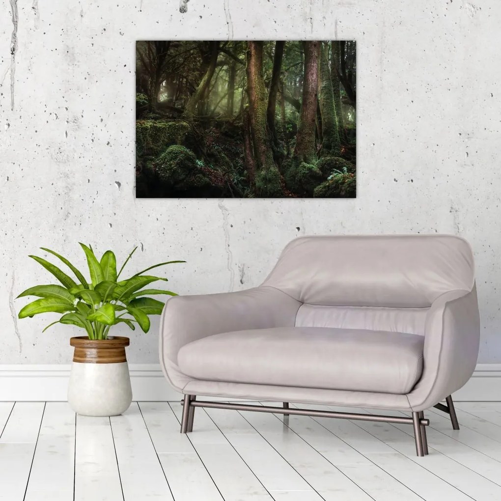 Skleněný obraz - Tajemný les (70x50 cm)