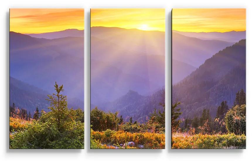 Sablio Obraz - 3-dílný Západ slunce nad lesem - 120x80 cm