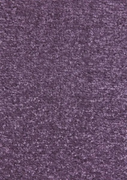 Hanse Home Collection koberce Kusový koberec Nasty 101150 Lila Rozměr: 200x300