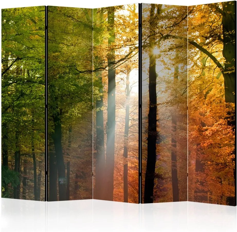 Paraván Forest Colours Dekorhome 225x172 cm (5-dílný)