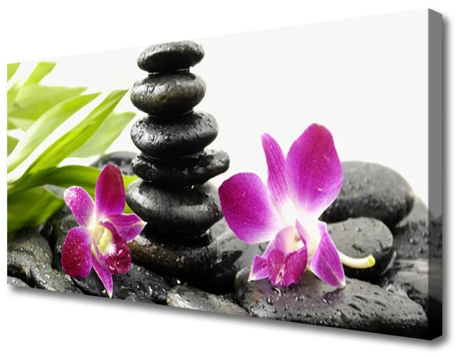 Obraz na plátně Kameny Zen Lázně Orchidej 100x50cm