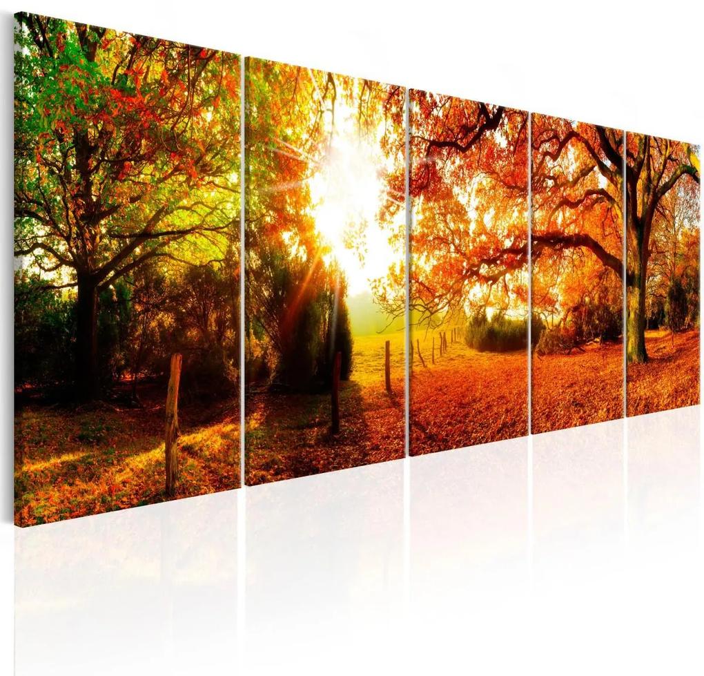 Murando DeLuxe Pětidílný obraz - podzim 150x60 cm