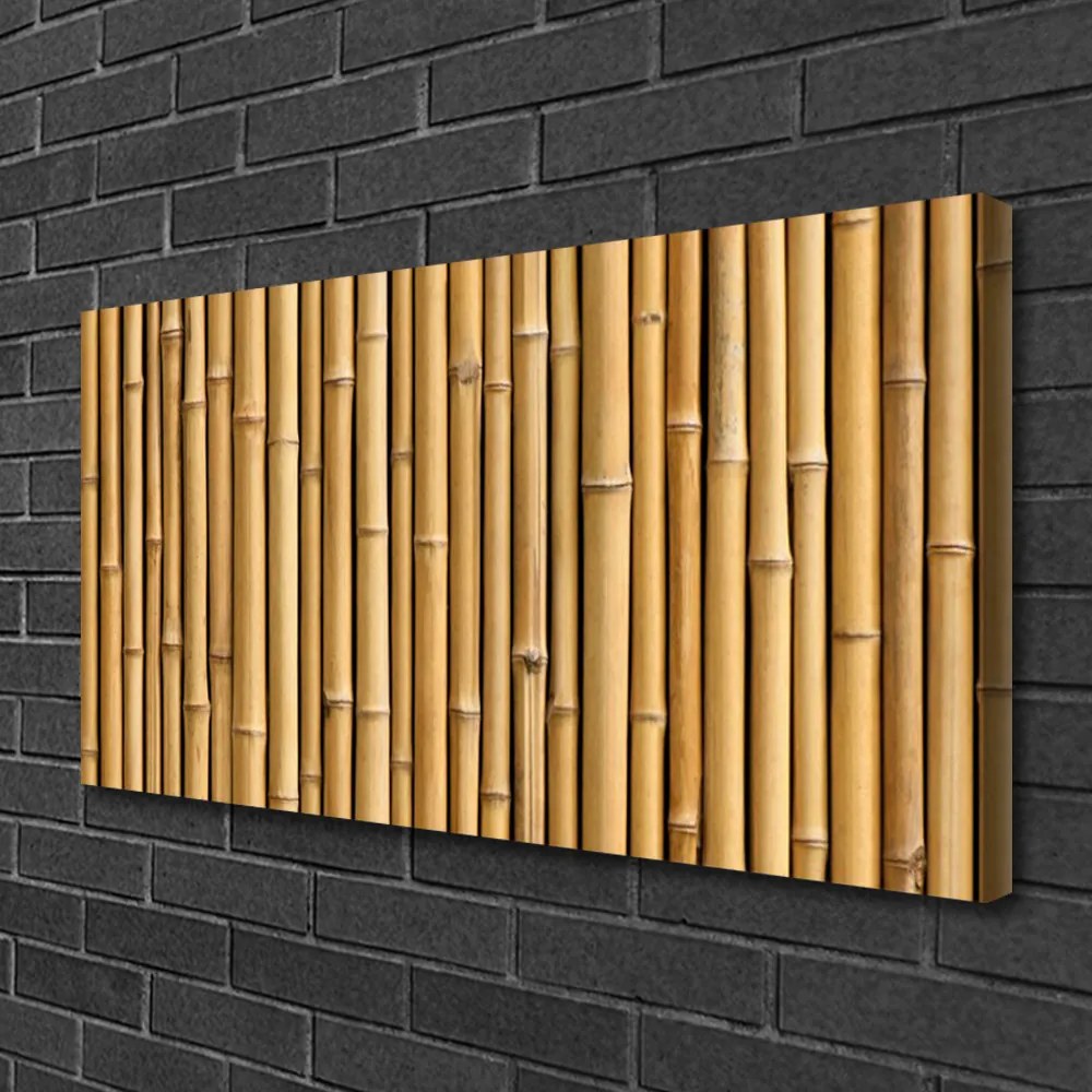 Obraz na plátně Bambus Rostlina Příroda 100x50 cm