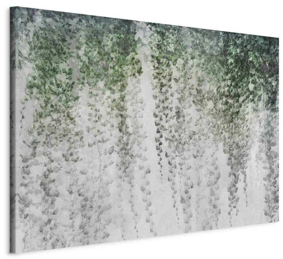 Obraz XXL Oáza klidu - kompozice s tmavým břečťanem na pozadí zdi