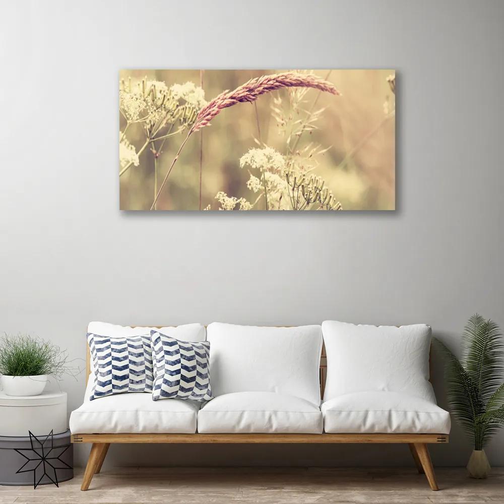 Obraz na plátně Divoké Rostliny Příroda 140x70 cm