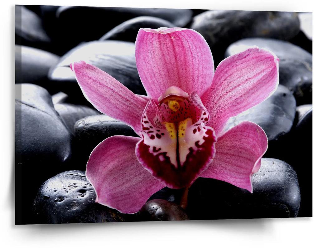Obraz SABLO - Růžová orchidea 150x110 cm