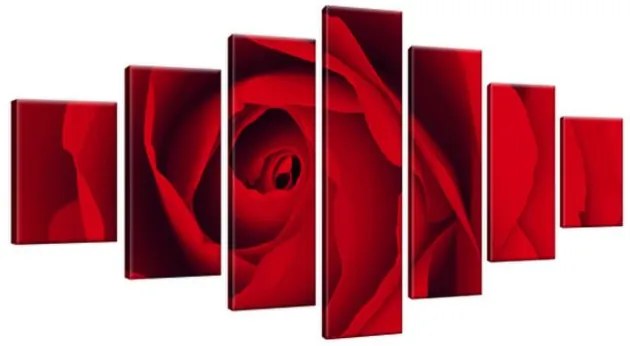 Obraz na plátně Úžasná červená růže 210x100cm 2211A_7A