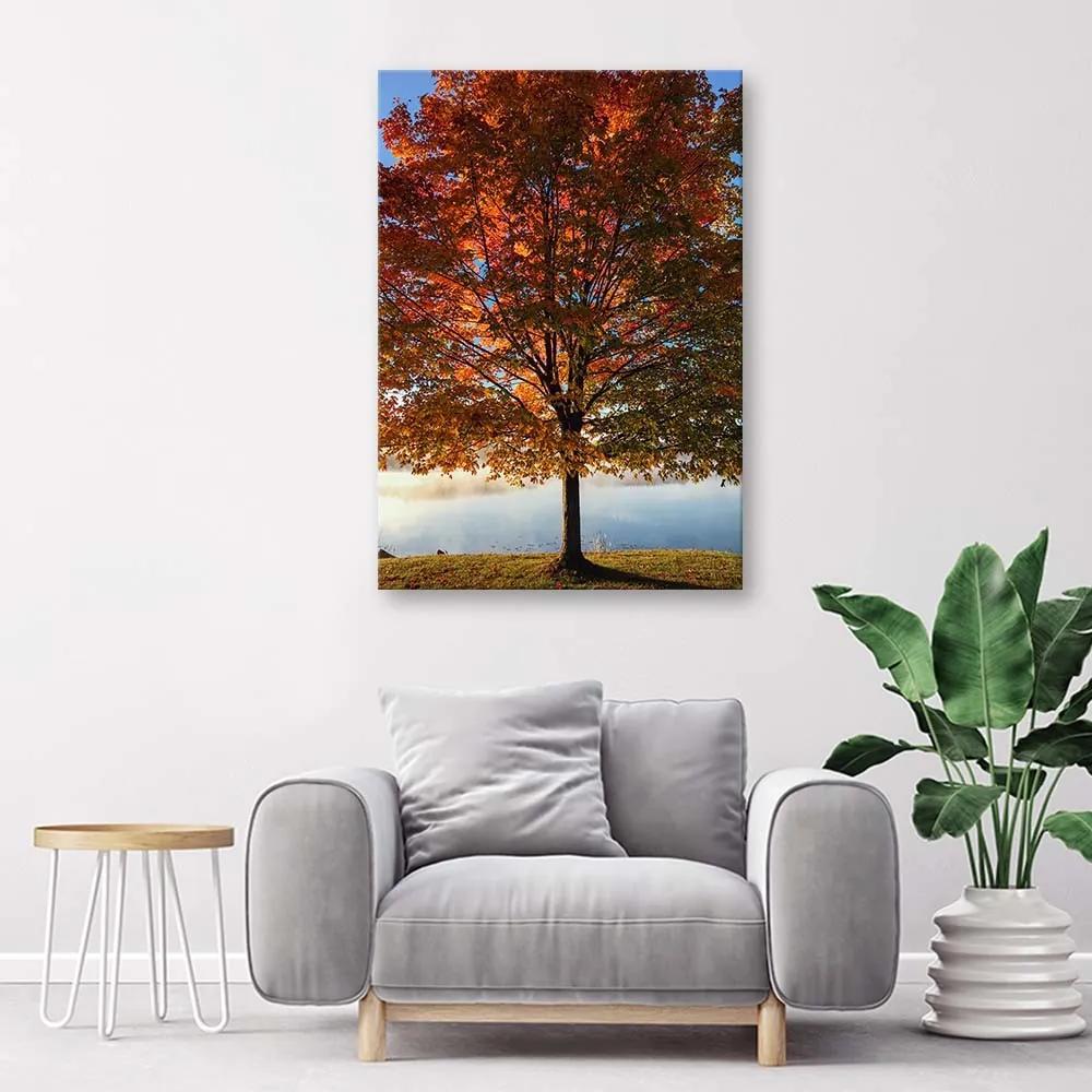Gario Obraz na plátně Podzimní strom Rozměry: 40 x 60 cm