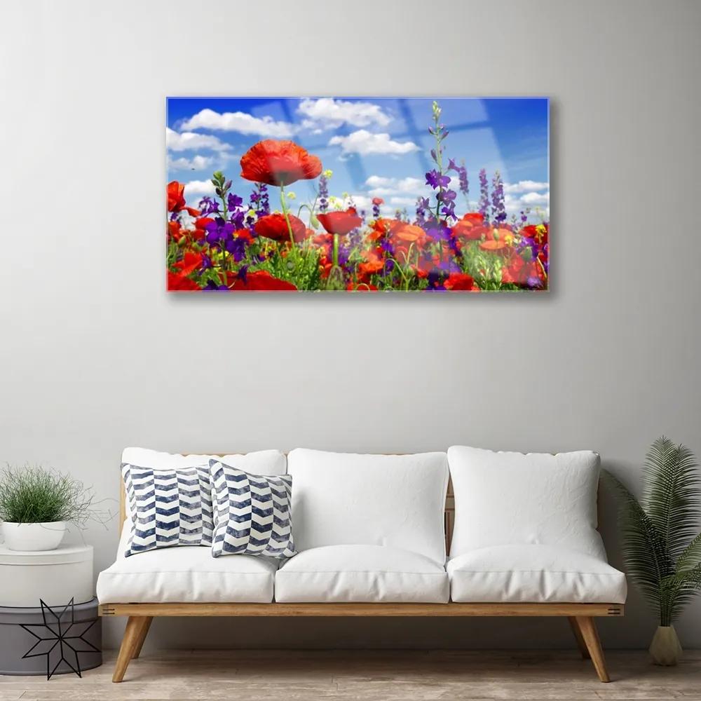 Obraz na skle Tulipány Rostlina 100x50 cm