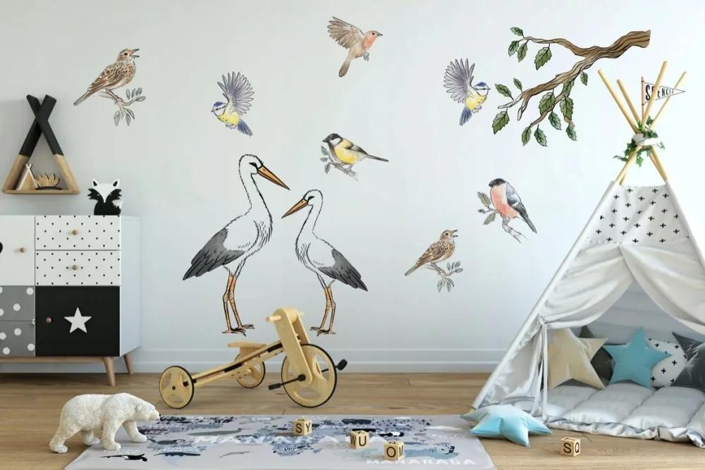 Edukační nálepka do dětského pokoje naši ptáčci 100 x 200 cm