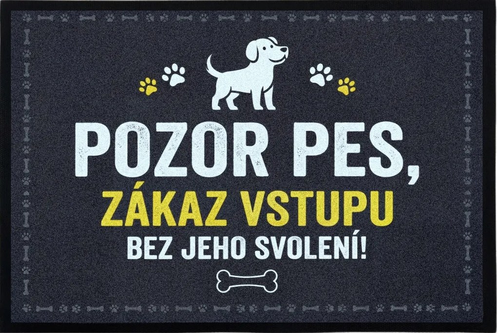 Mercury Flooring, Rohožka se psím svolením 40x60 cm - na ven i na doma, 40x60, šedá