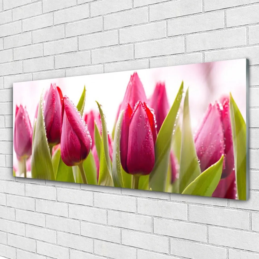 akrylový obraz Tulipány Květiny Rostlina 125x50 cm