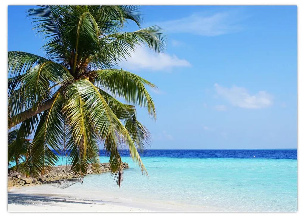 Obraz palmy na pláži (70x50 cm)