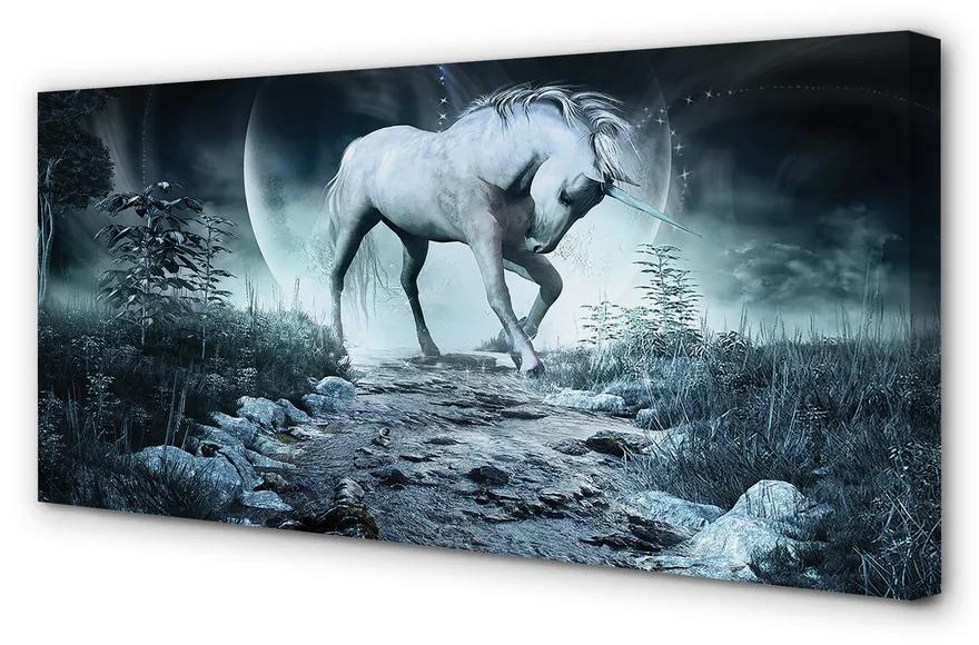 Obrazy na plátně Forest Unicorn moon 100x50 cm