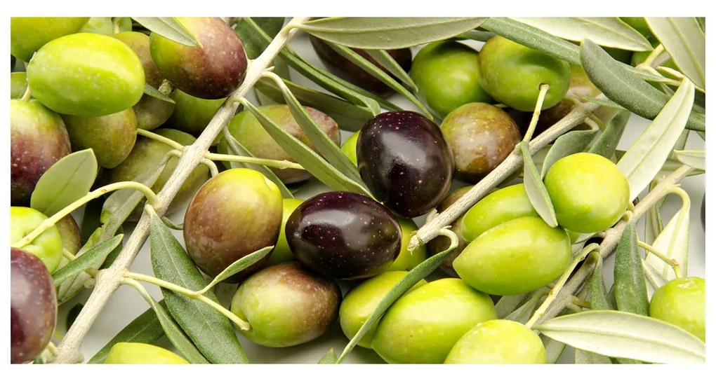 Moderní akrylový fotoobraz Čerstvé olivy