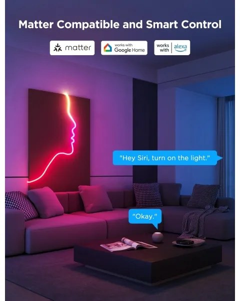 Govee - Neon 2 MATTER ohebný LED pásek 3m RGBIC Wi-Fi