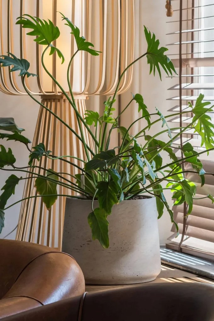 Květináč TROPICO, sklolaminát, výška 29 cm, béžová