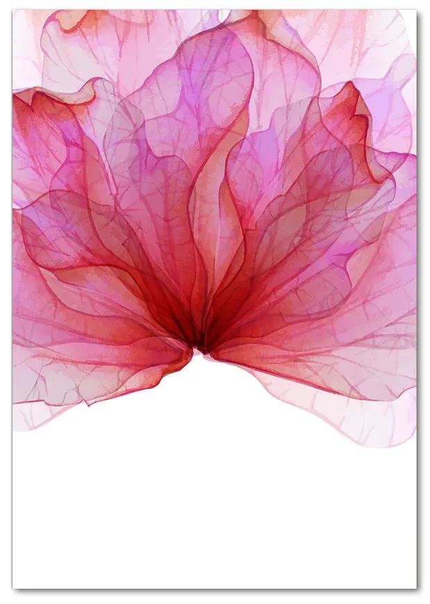 Wallmuralia Moderní akrylový fotoobraz Růžový květ 70x100 cm