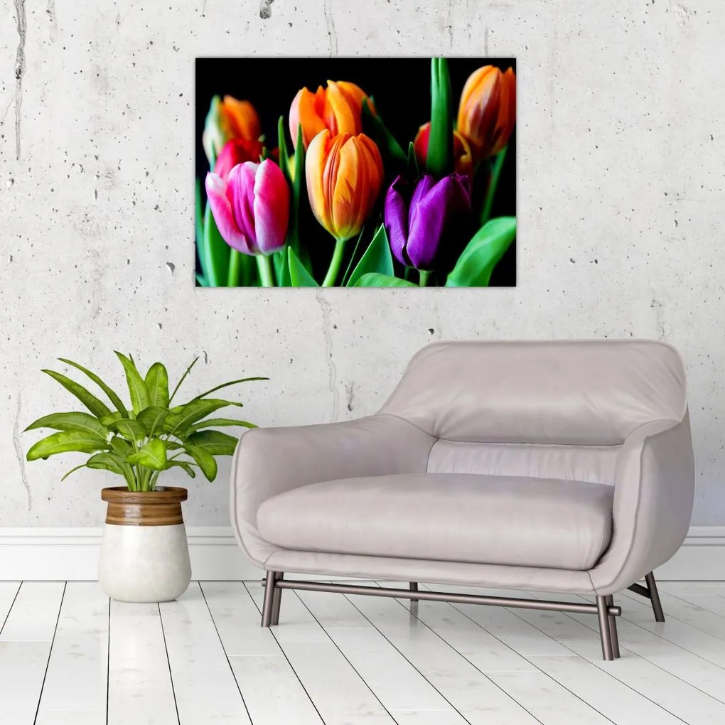 Obraz tulipánů na černém pozadí (70x50 cm)