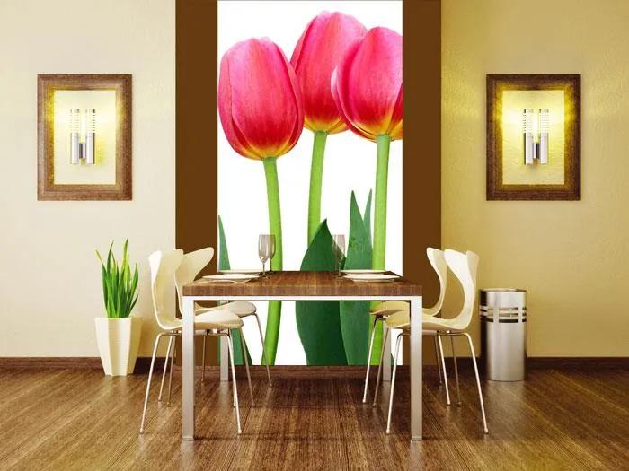Dvoudílná vliesová fototapeta Záhon tulipánů, rozměr 150x250cm, MS-2-0126