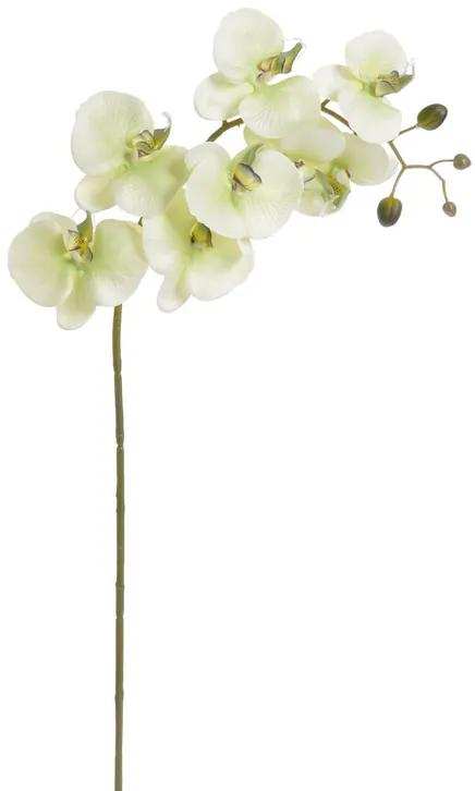 orchidea 100 cm - zelená