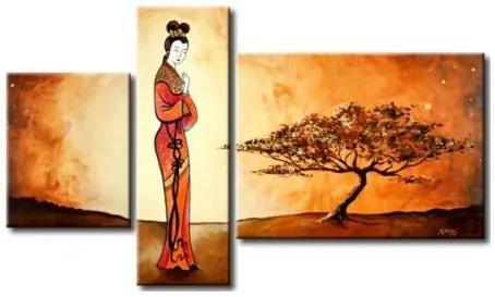 Vícedílné obrazy - Krásná gejša