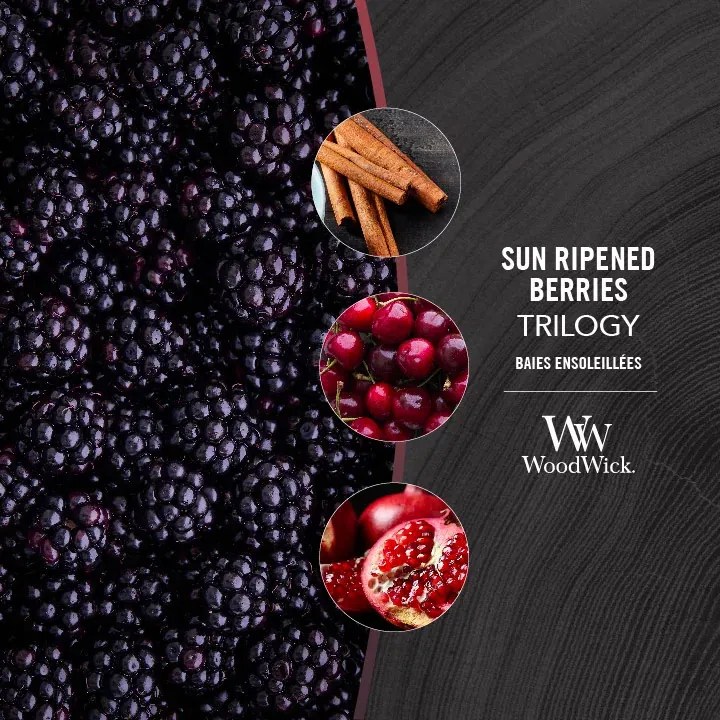 WoodWick – Trilogy svíčka Sun Ripened Berries (Letní bobule) Velikost: velká 609 g