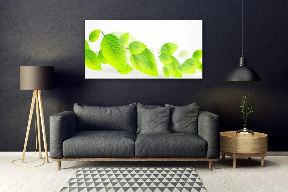 Plexisklo-obraz Listy Květiny Příroda 120x60 cm