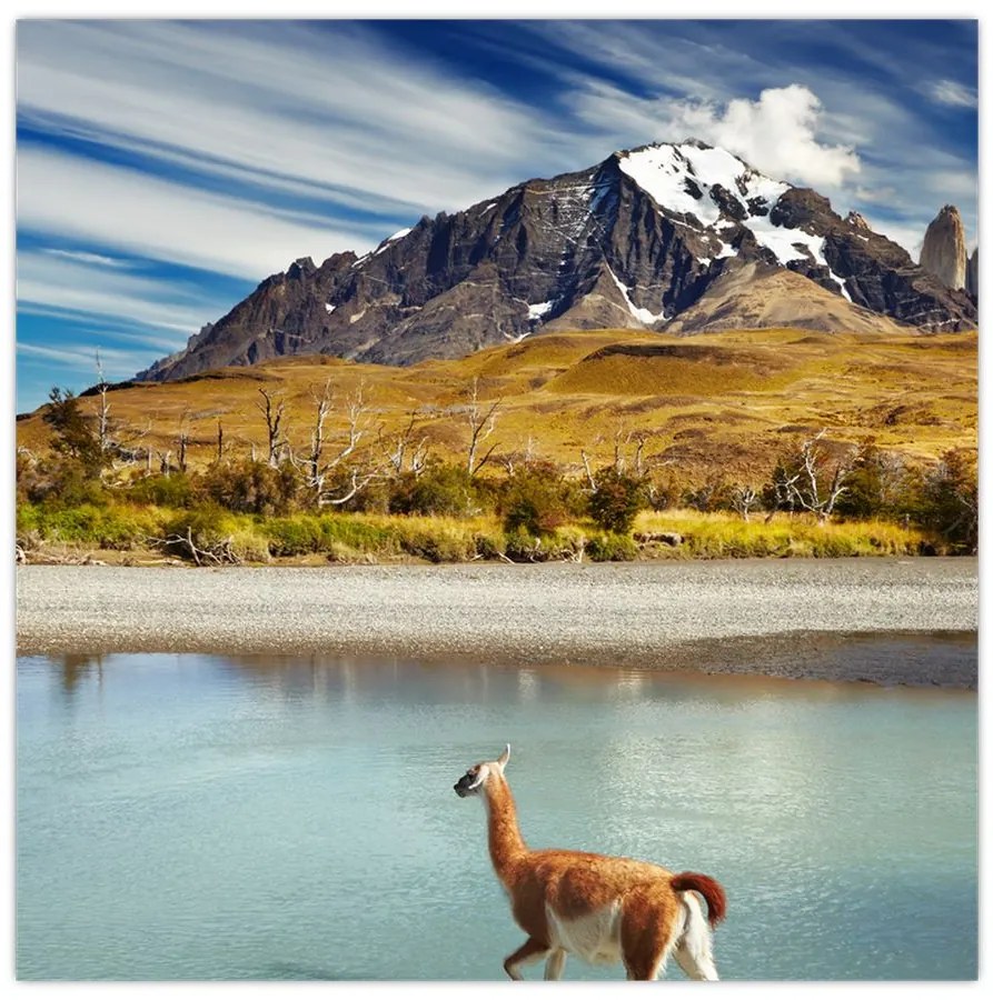 Obraz - Národní park Torres del Paine (30x30 cm)