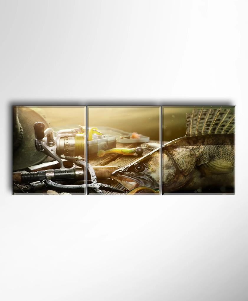 Malvis ® Obraz Zdolaný candát ROZMĚR (šířka x výška): třídílný obdélník 150x60 cm
