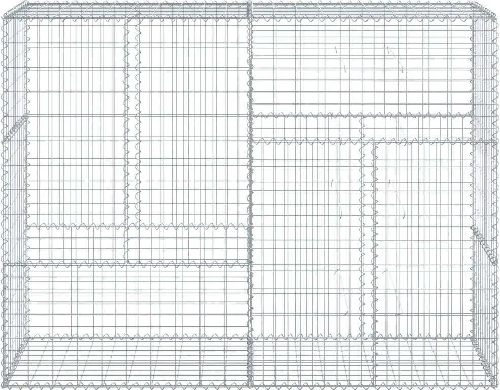 Gabionový koš s víkem 200 x 50 x 150 cm pozinkované železo 3295155