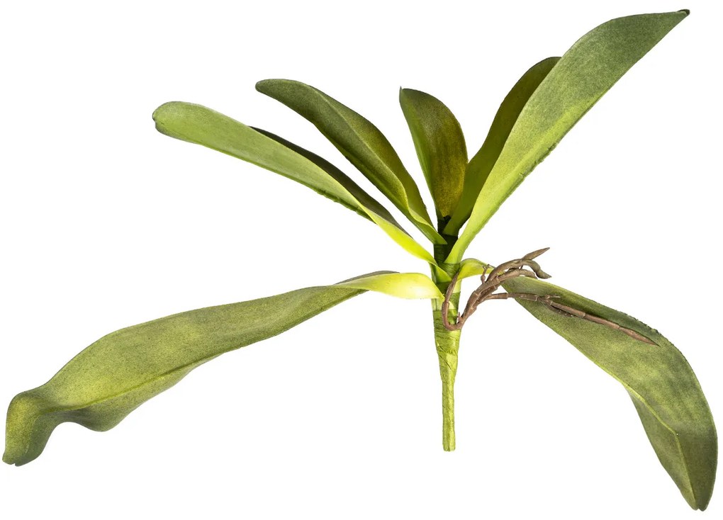 Umělý List orchideje s kořínky, 30 cm