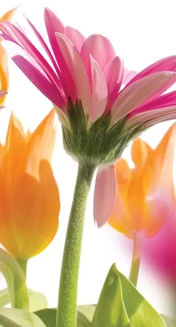 Dvoudílná vliesová fototapeta Jarní květy, rozměr 150x250cm, MS-2-0142