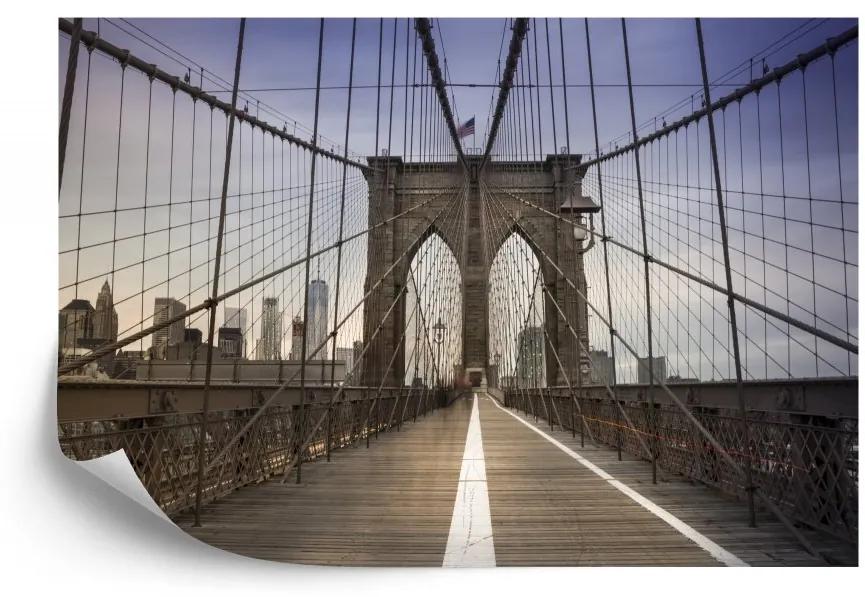 Fototapeta Brooklyn Bridge Ny Samolepící tapety 254x184