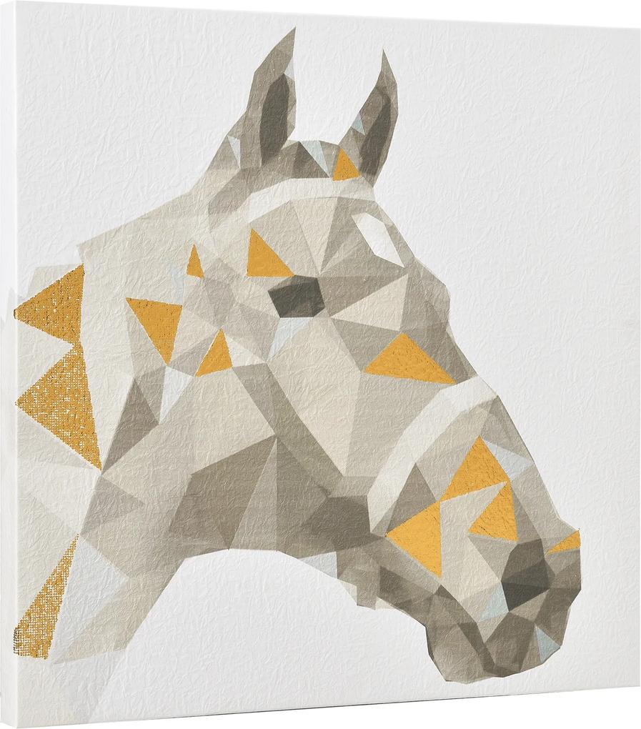 [art.work] Designový obraz na stěnu - tisk na pergamenový papír - kůň - napnutý na rámu - 40x40x2,8 cm