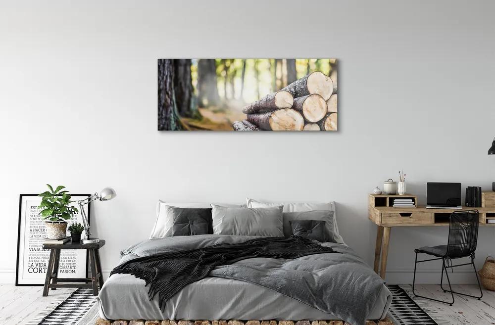 akrylový obraz Dříví prales přírodě 120x60 cm