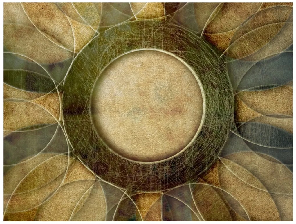 Murando DeLuxe Tapeta Přírodní mandala Velikost (šířka x výška): 300x231 cm