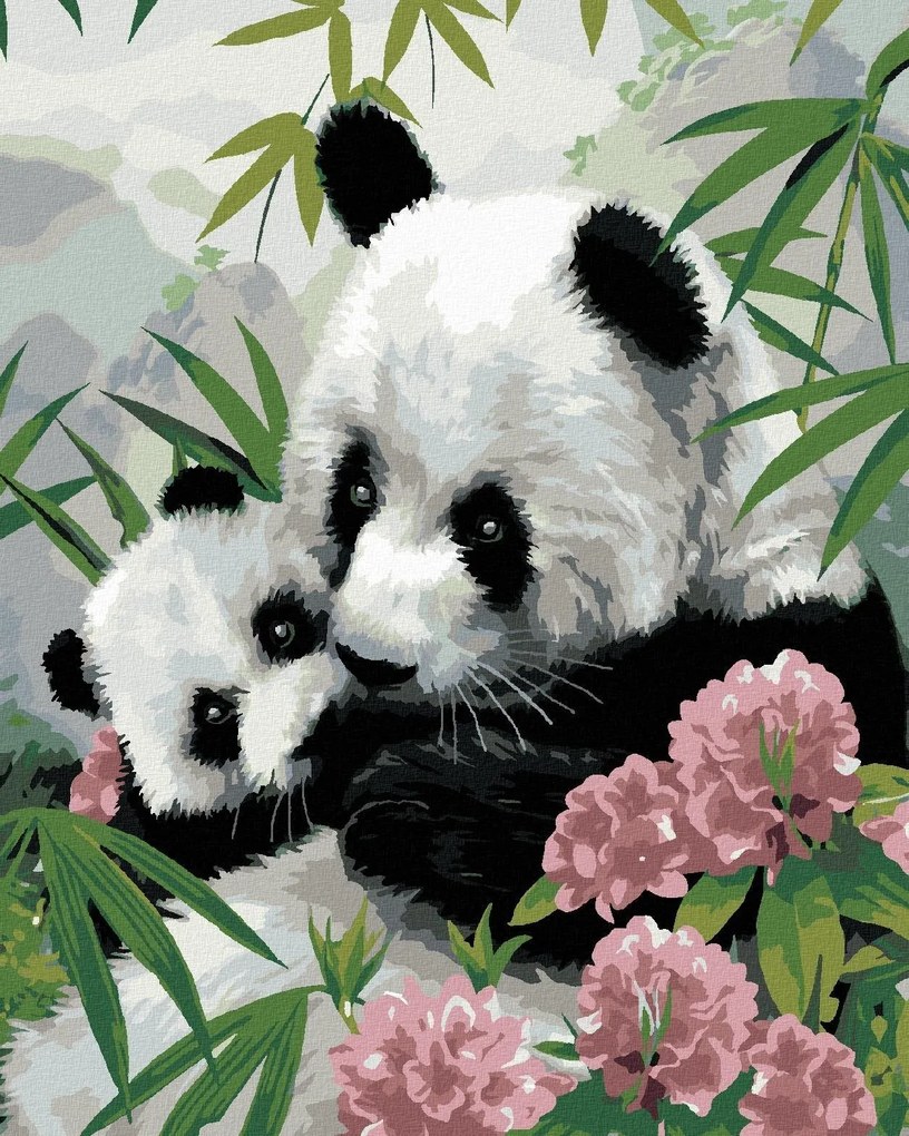 zuty malování podle čísel - panda s mládětem a růžové květy (howard robinson), 40x50 cm, vypnuté plátno n