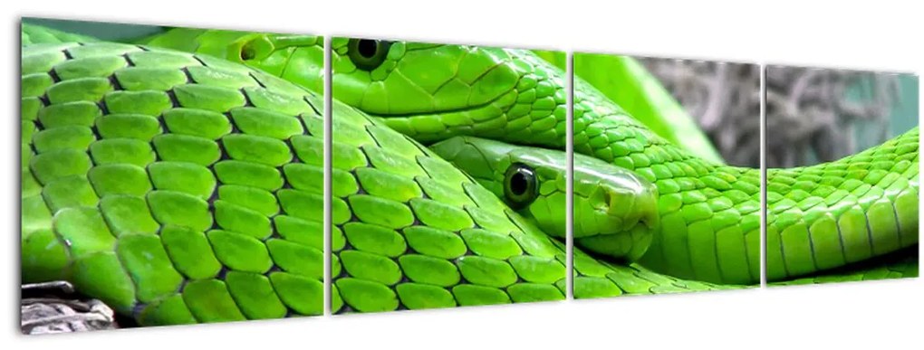 Obraz zelených hadů (160x40 cm), 40 dalších rozměrů