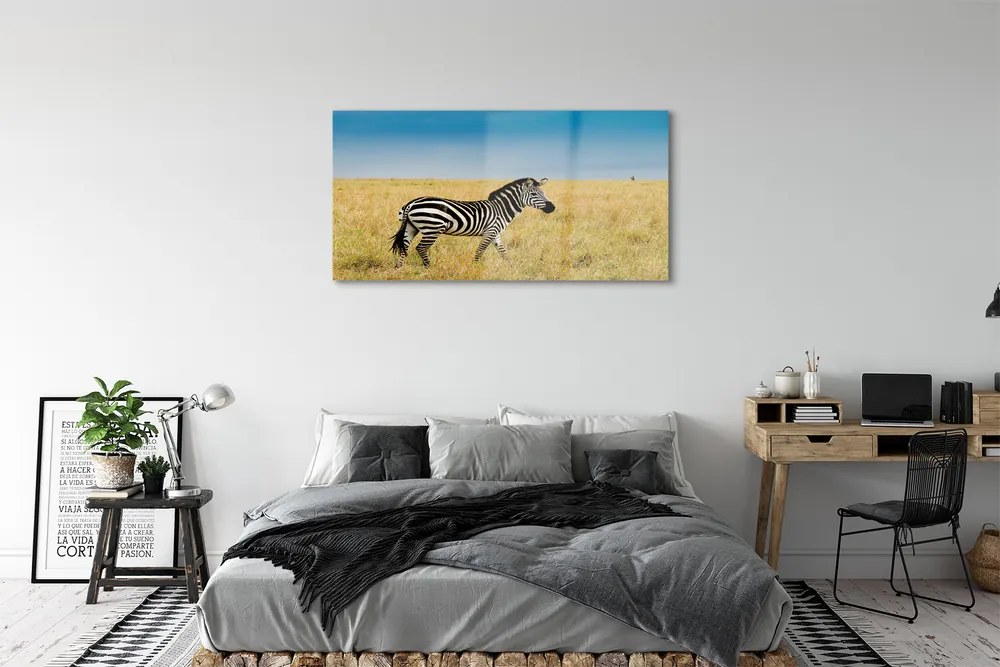 akrylový obraz Zebra box 125x50 cm