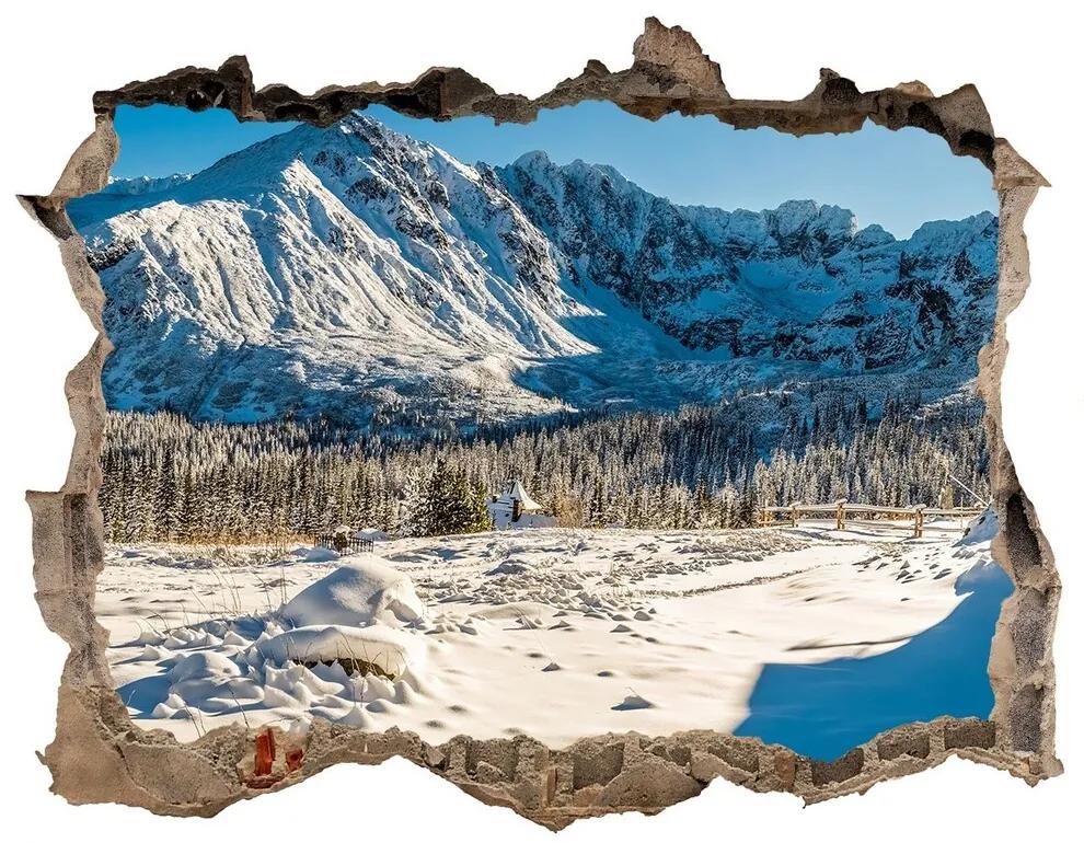 Wallmuralia Nálepka fototapeta 3D výhled Dům v horách 95x64 cm