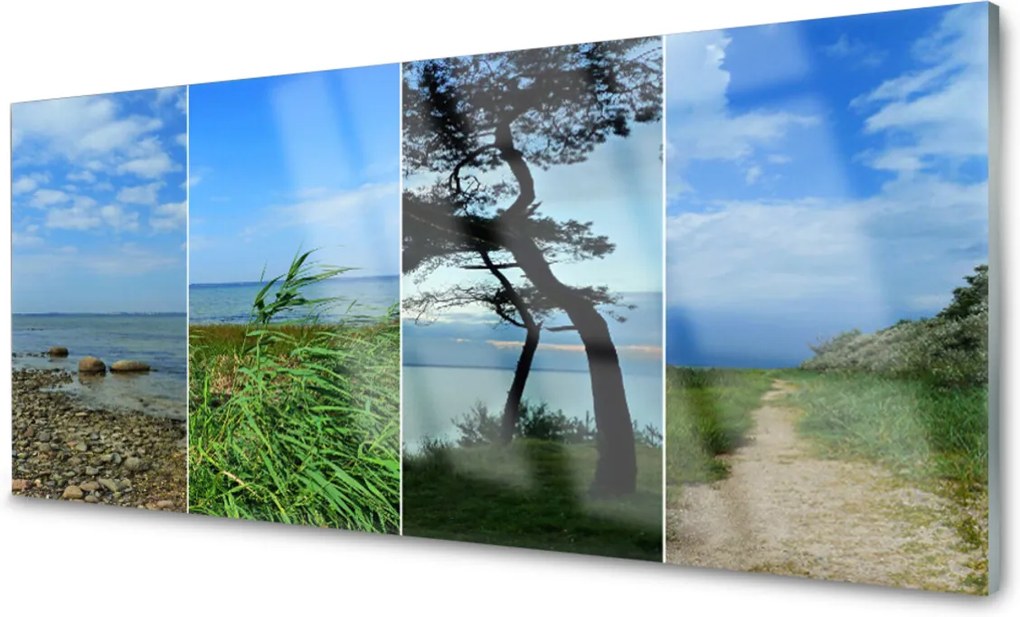 Obraz na skle Pláž Strom Krajina