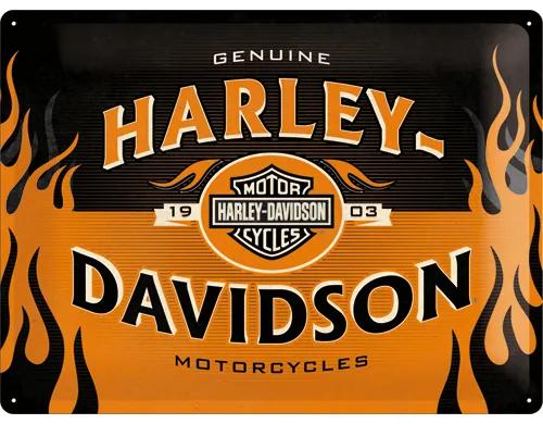 Postershop Plechová cedule - Harley-Davidson (Flames) 30x40 cm