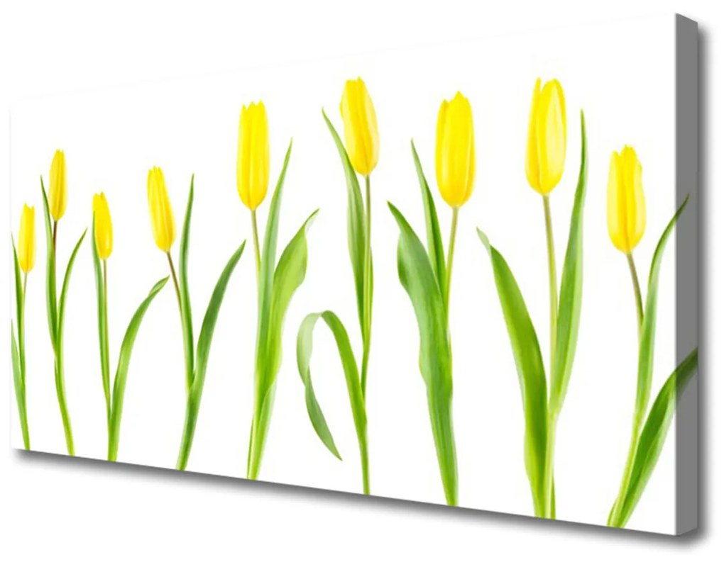 Obraz Canvas Žluté Tulipány Květiny