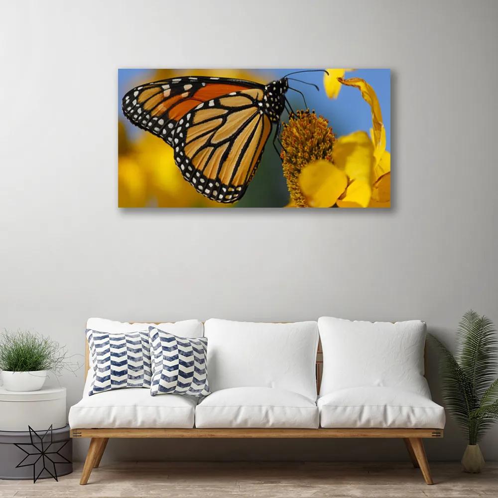 Obraz na plátně Motýl Květ Příroda 100x50 cm