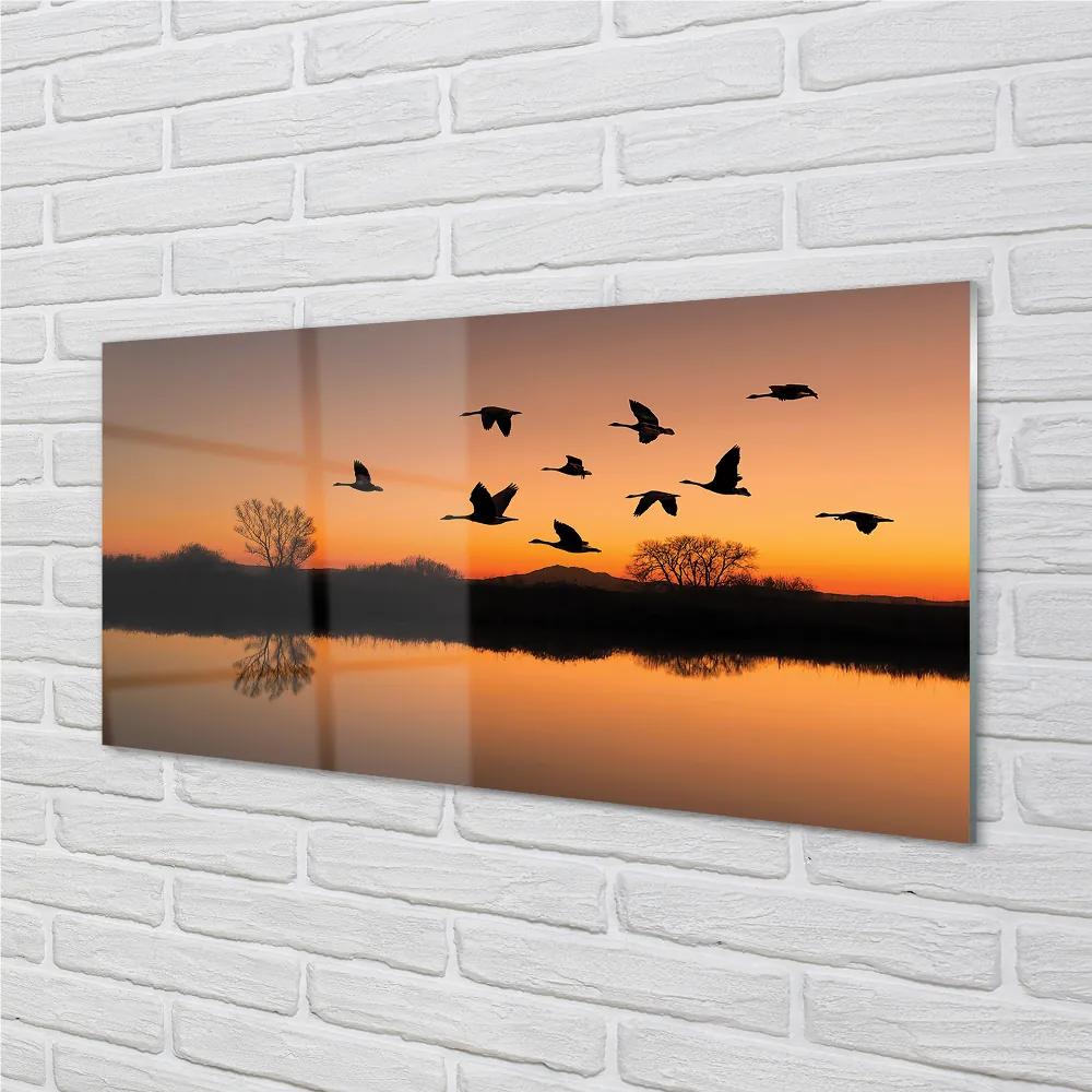 akrylový obraz Létající ptáky sunset 100x50 cm