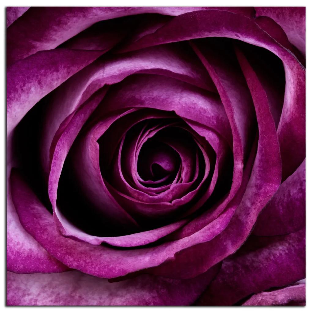 Obraz Růže , vícedílný