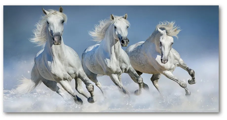 Wallmuralia Foto-obraz na skle horizontální Koně ve cvalu 100x50 cm
